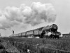 LNER 4472 Flying Scotsman | This Day in Aviation